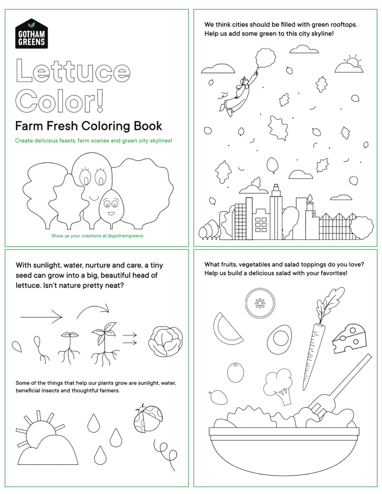 Farm Fresh Coloring Book - Gotham Greens