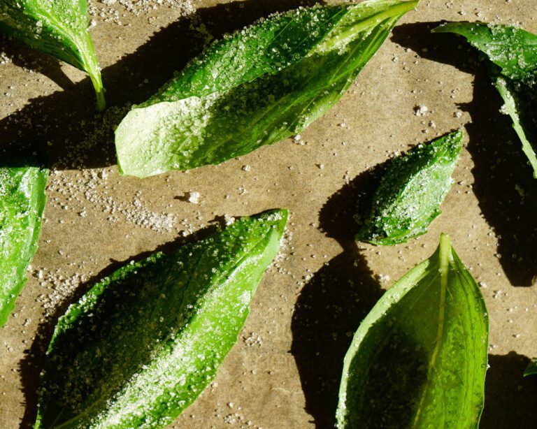 Basil Recipes: Creative Ways to Play with Herbs - Gotham Greens