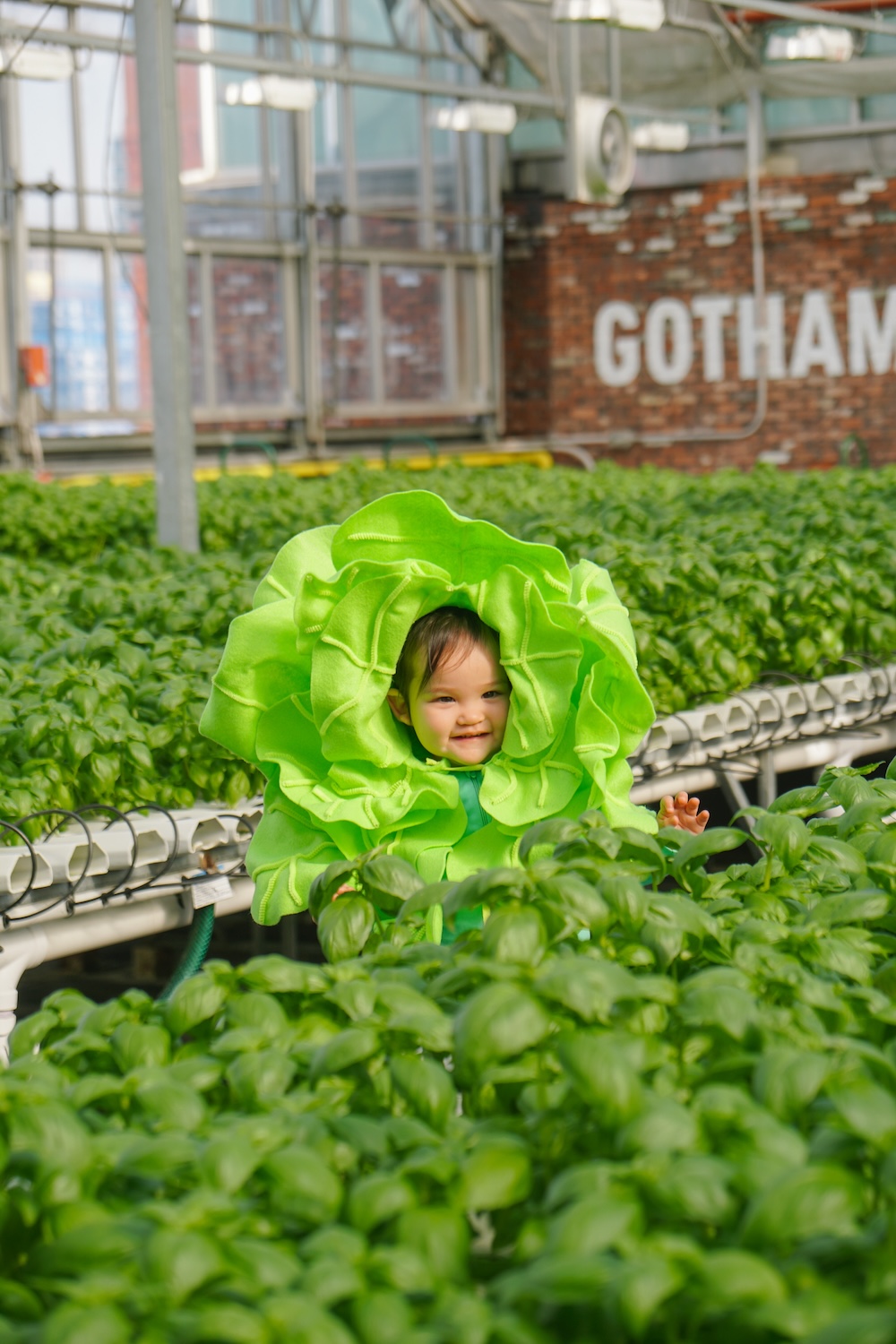 DIY Baby Butterhead Lettuce Costume with Primary Clothing - Gotham Greens